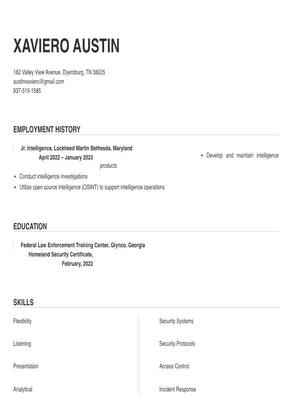 Intelligence Resume Sample & Tips | Online Resume Builder