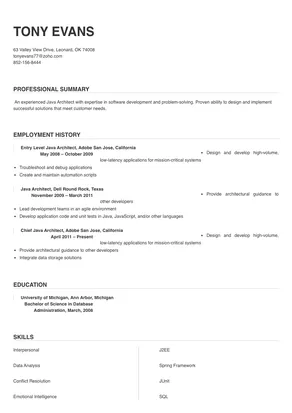 Java Architect Resume Sample & Tips | Online Resume Builder