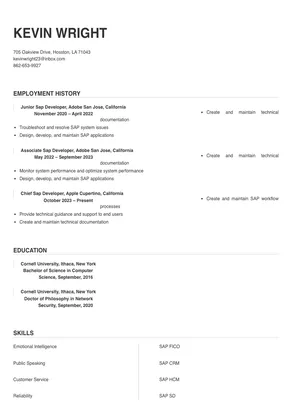 Sap Developer Resume Sample & Tips | Online Resume Builder