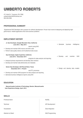 Sas Developer Resume Sample & Tips | Online Resume Builder