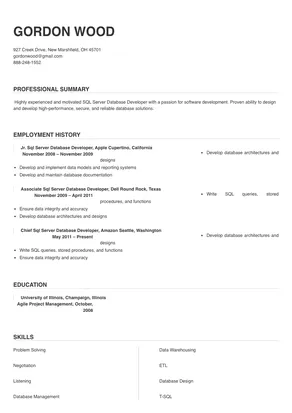 Sql Server Database Developer Resume Sample & Tips | Online Resume Builder